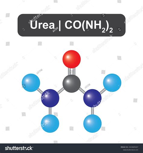 Molecular Model Urea Conh22 Molecule Vector Stock Vector Royalty Free