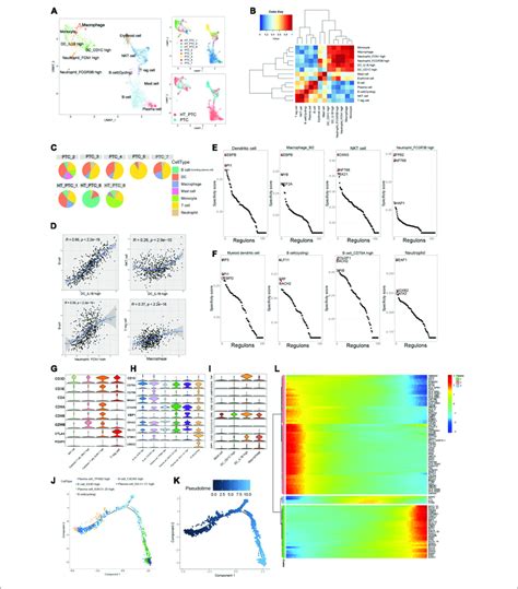 Reclustering Of Tumor Infiltrating Immune Cells A Umap Plots Of Download Scientific