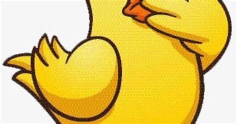 Meme Chicken Album On Imgur