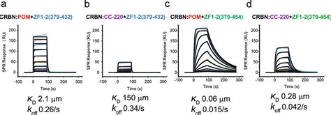 representative spr binding data with 1 1 kinetic modelling for the