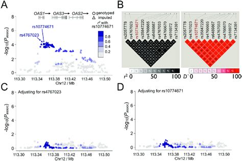Results Of Genetic Association Analyses In Oas1 Region A Genetic