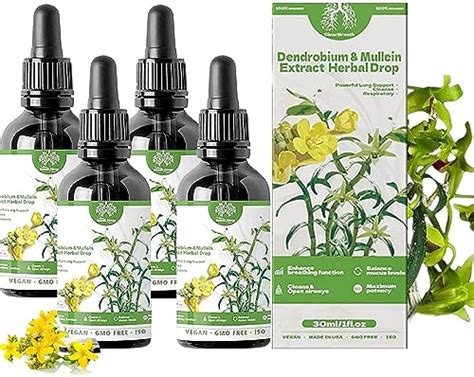 I Tested Dendrobium And Mullein Extract Herbal Drops Heres What Happened