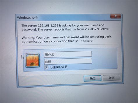 连接svn输入用户名和密码后（正确的）弹出windows安全登录界面，这个界面应该输入什么用户密码？微软技术 Csdn问答