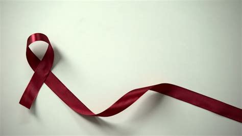 Sebia Launches M Insight A Test For Monitoring Multiple Myeloma Patients Medical Laboratory