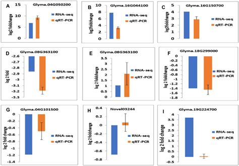 Comparison Of RNA Seq Analysis By Reverse Transcription Quantitative Download Scientific