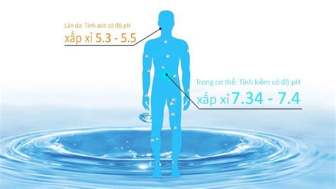 G C Axit L G Ph N Lo I C C G C Axit Th Ng G P