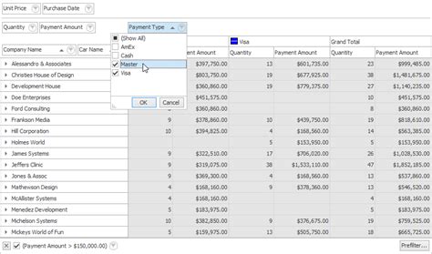 Vcl Pivot Grid Vcl Devexpress Documentation