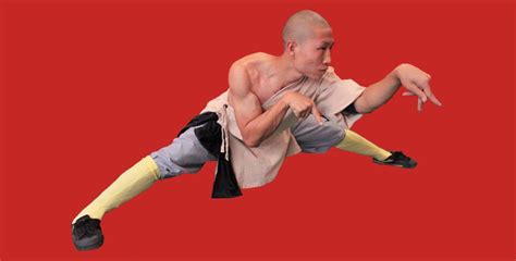 Master Xiaojun Wang Martial Arts And Action Entertainment