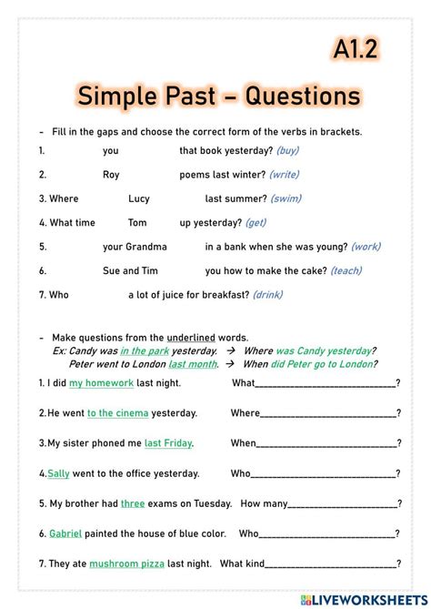 7012667 | Simple Past - Did Questions & WH Questions