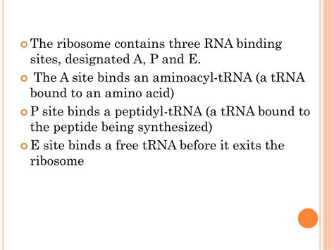 Solution Ribosomes And Components Of Protein Synthesis Studypool