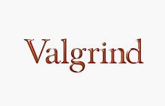 Valgrind Memcheck Test