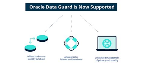 Simplify Advanced Recoveries And Protection Of Oracle Data Guard Rubrik