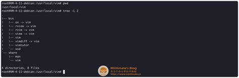 linux上配置vim的youcompleteme插件：文本编辑更清爽和强大，并具有一定的ide能力 雨月空间站