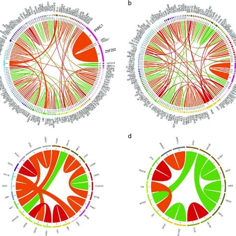pdf fusion gene map of acute leukemia revealed by transcriptome