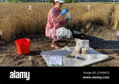 Female Agronomist Preparing Soil Samples Laboratory Analysis Marking Sample Bags With Ground At