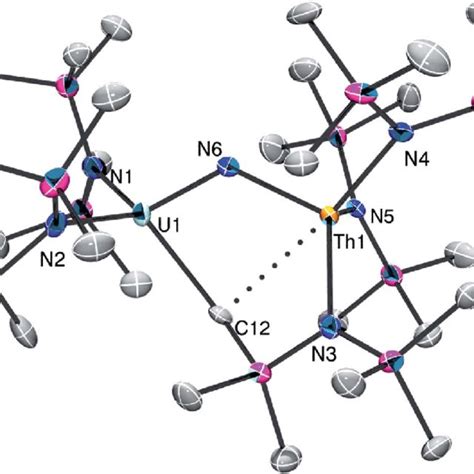 Solid State Molecular Structure Of 42c 5 H 12 Shown With 50