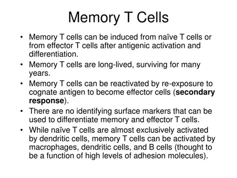 PPT T Cell Maturation Activation And Differentiation PowerPoint Presentation ID