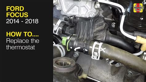 How To Replace The Thermostat On The Ford Focus 2014 To 2018 Youtube