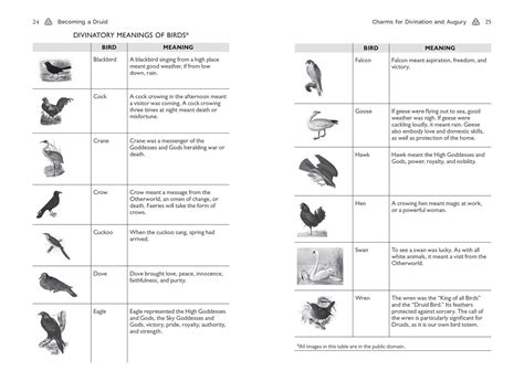 Celtic Druidry Book By Ellen Evert Hopman Kenneth Proefrock