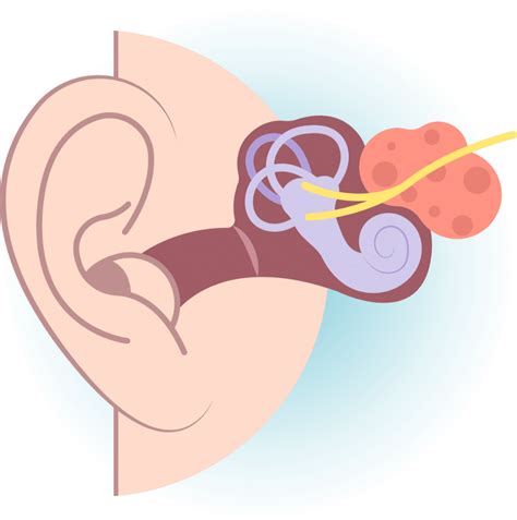 Vestibular Disorder Specialists In Singapore City Osteopathy