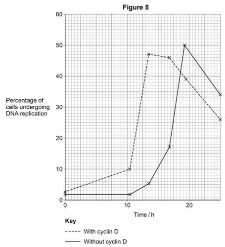 Biology 1 Biological Molecules Dna Dna Replication And Rna Exercises Flashcards
