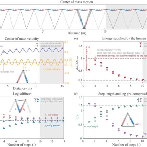 Numerical Simulation Results And The Corresponding Analytical