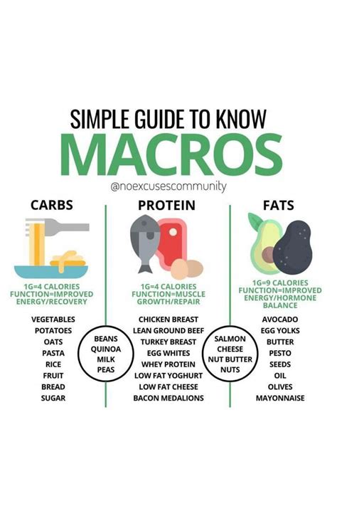 Counting Macros 101 A Step By Step Guide Artofit