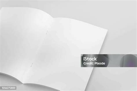 현실적인 빈 빈 A4 A5 전단지 소책자 반접기 브로셔 전단지 책 프레젠테이션 템플릿 디자인 창과 나뭇잎 그림자 오버레이 흰색 배경에 격리 3d 벡터 그림입니다 3차원