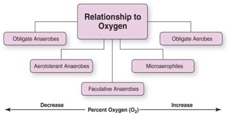 Week 1 Flashcards Quizlet