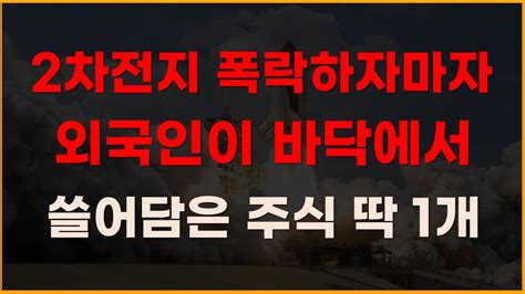 2차전지 폭락하자마자 외국인이 바닥에서 쓸어담은 주식 딱 1개 2차전지관련주 에코프로비엠 주식전망 엘앤에프 포스코홀딩스 10월주식전망 로보택시 Youtube