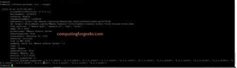 Patching Vmware Vsphere Vcenter 7 0 Using Cli Computingforgeeks