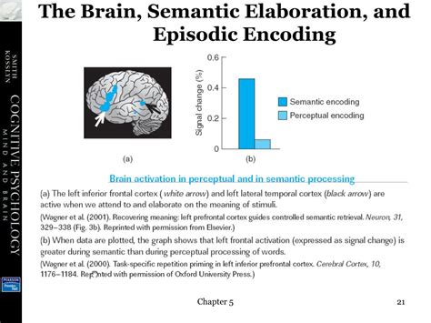 Ppt Encoding And Retrieval From Long Term Memory Powerpoint Presentation Id1071748