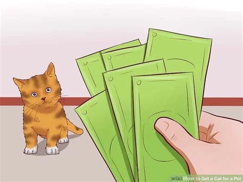 How To Solicit Sex From A Kitten R Disneyvacation