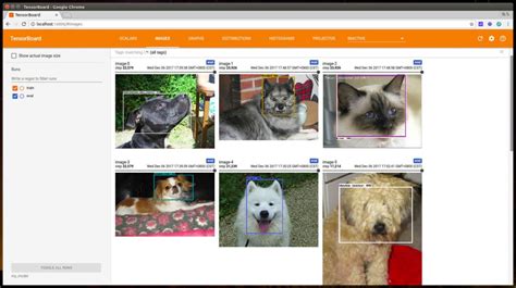 TensorFlow Object Detection API 自行訓練模型教學辨識特定物件 G T Wang