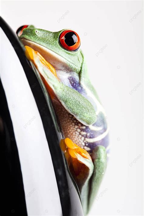 On A Small Spaceship Background Images Hd Pictures And Wallpaper For Free Download Pngtree