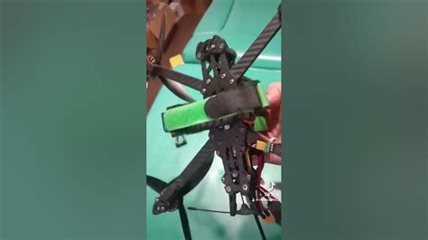 Пташка Youtube