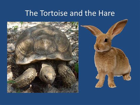 Ppt Scientific Method Powerpoint Presentation Free Download Id1595934