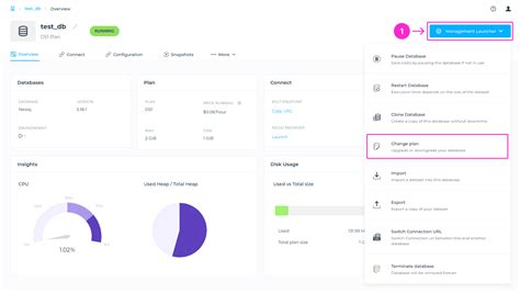 Manage Your Databases