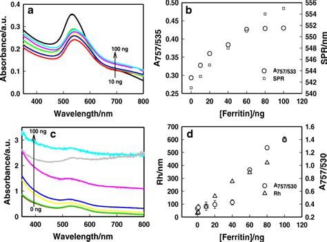 A Uv Visible Absorption Spectra Showing Red Shift Of Spr With