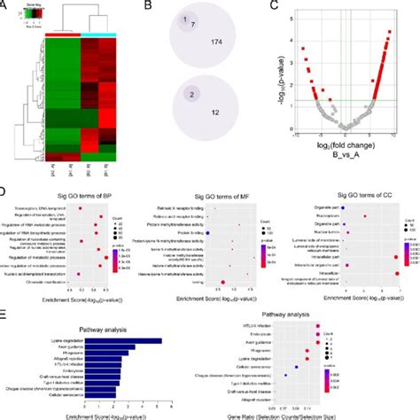 Annotation Visualization And Functional Clustering Of De Circrnas A Download Scientific