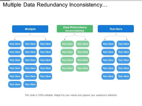 Multiple Data Redundancy Inconsistency Characteristics Database Savings