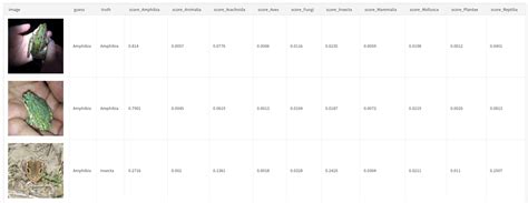 Tables Tutorial Visualize Data For Image Classification Mendeleev