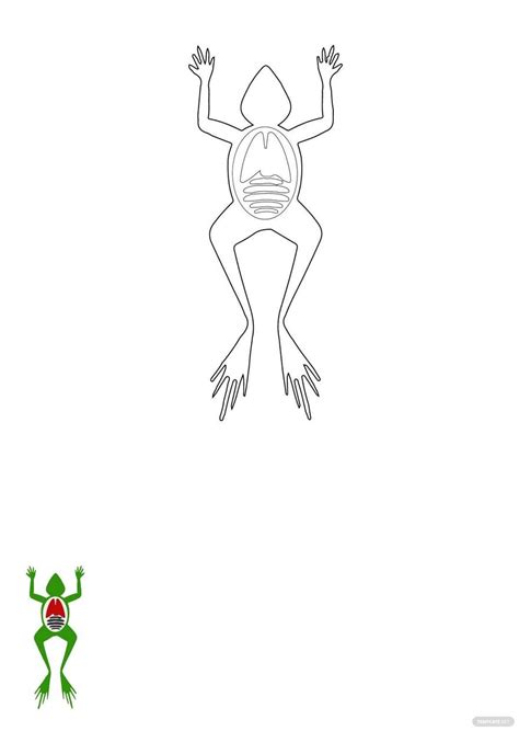 Animal Footprint Coloring Pages