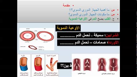 البرنامج التدريبي الجهاز الدوري الدموي الحلقة 1 Youtube