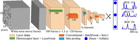 Figure From Biophysical Neural Adaptation Mechanisms Enable Deep Learning Models To Capture