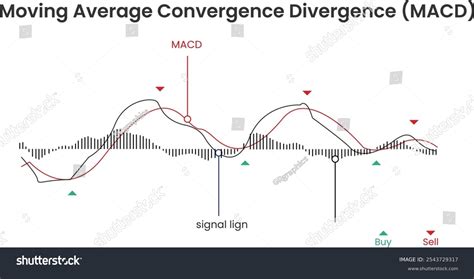 moving average convergence divergence macd signal stock vector royalty