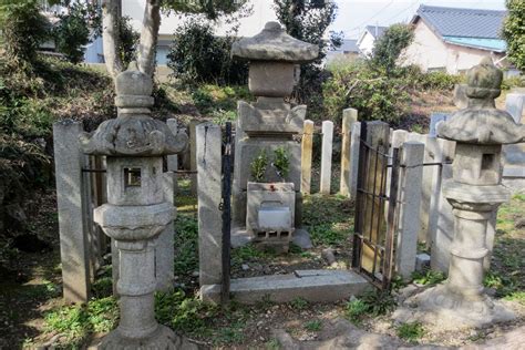 Saya 062 日々是好日