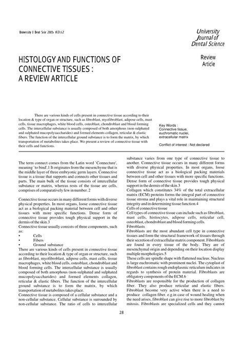 Pdf Histology And Function Of Connective Tissue