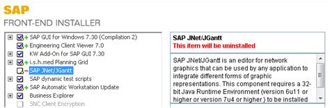 Sap Gui Installation Server Sap Community