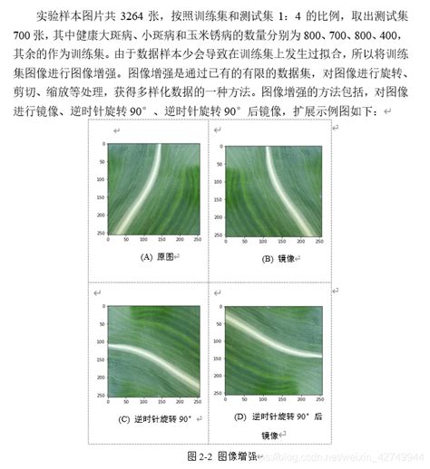 卷积神经网络实现玉米病害图像识别lenet Based Corn Leaf Disease Recognition Master奇迹523